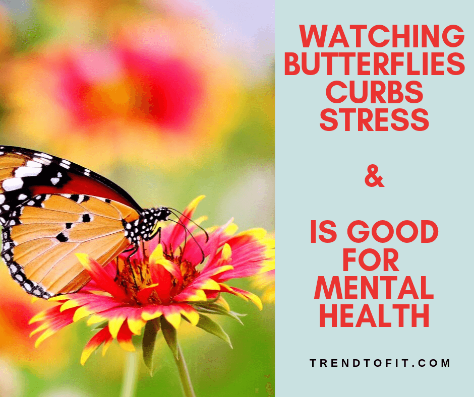 Stress Buster Activity: 30 Quick Ideas to Awaken Your Inner Child